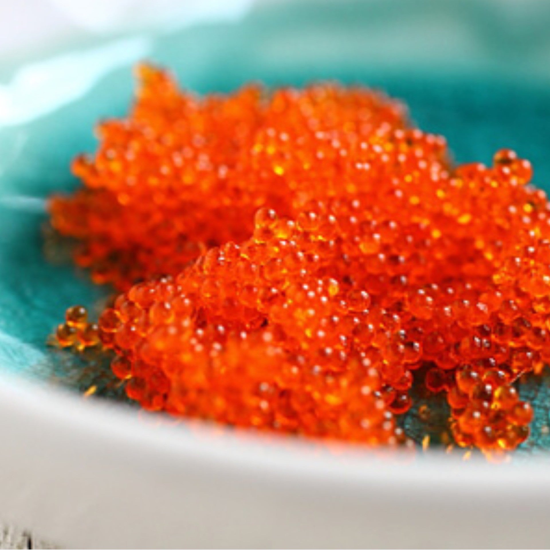 tobiko fish